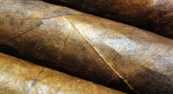 That’s a Wrap! - Tobacco Haven