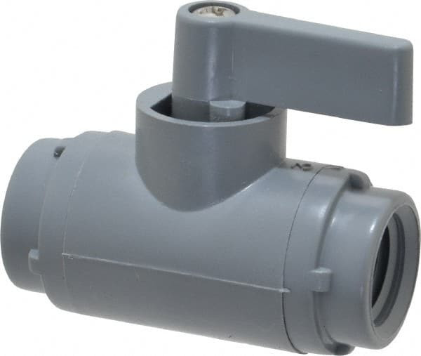 The Specialty Mfg. Co. 1/4" Pipe, PVC Standard Ball Valve Inline - Two ...
