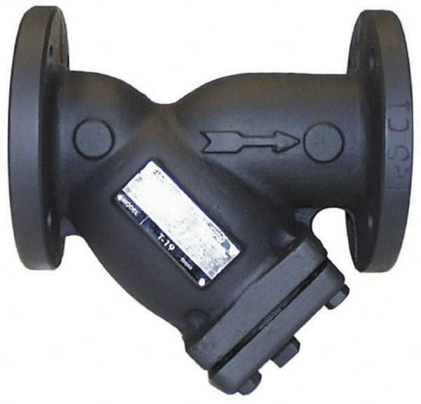 Legend Valve 3" Pipe, Flanged Ends, Cast Iron Y-Strainer 200 psi WOG ...