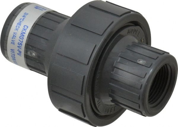 Plast-O-Matic Valves 3/4" PVC Check Valve Inline, FNPT x FNPT, 150 WOG ...