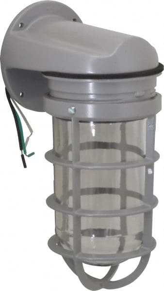 Crouse-Hinds 120 Volt, 100 Watt, Incandescent Hazardous Location Light ...