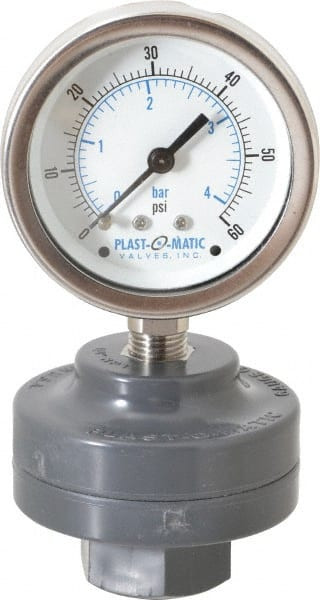 Plast-O-Matic Valves 60 Max psi, 2 Inch Dial Diameter, PVC Pressure ...