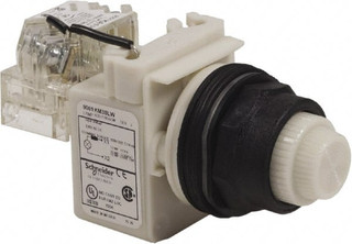 Schneider Electric 120 V White Lens LED Press-to-Test Indicating Light ...