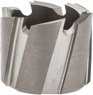 Hougen 19mm Diam x 1/4" Deep High Speed Steel Annular Cutter Bright ...