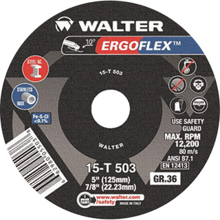 Walter Surface Technologies | ERGOFLEX™ | Blending Disc 5" Dia x 7/8 ...