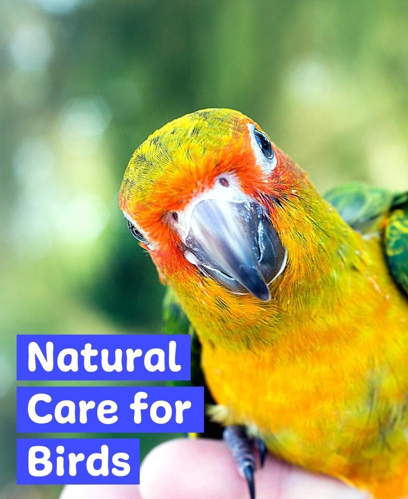 100% Natural Plant-based Product For Pets | NHV Natural Pet Products