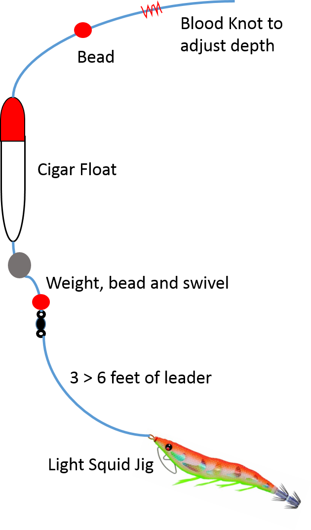 Squid Fishing - Lure Geek