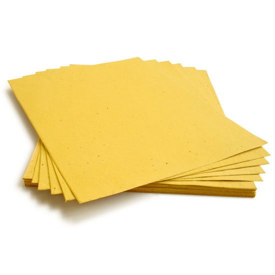 Mustard Yellow Plantable Seeded Paper Sheets with Wildflower Seeds - 8. ...