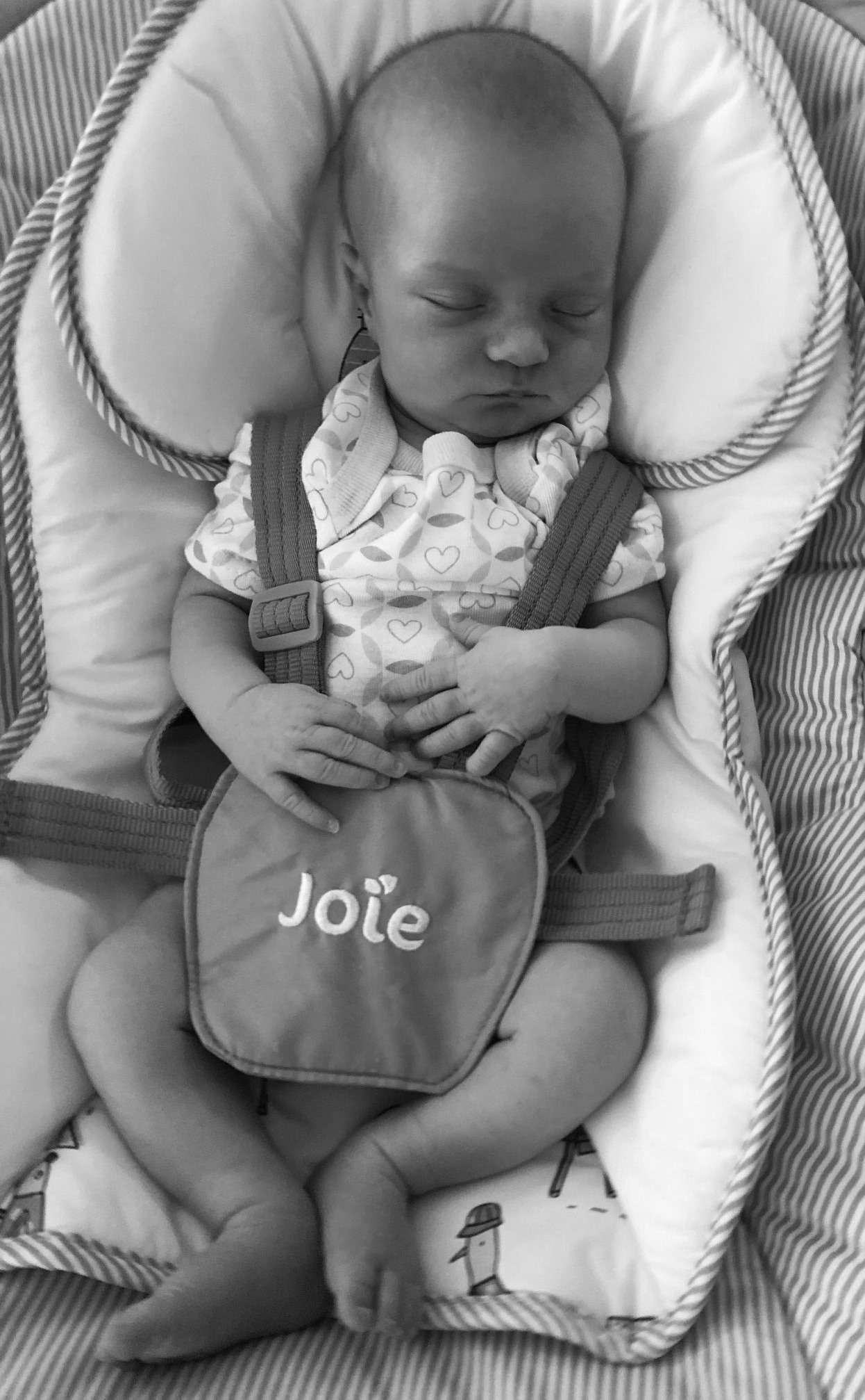 PATERNITY & HOLIDAY - rc Bitz