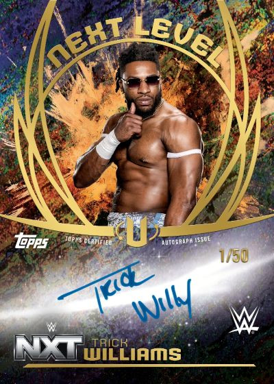 2025 Topps WWE Universe Trading Cards Value Box | WWE Blaster Box