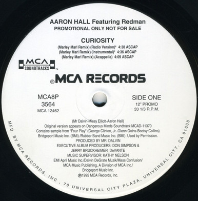 Aaron Hall Featuring Redman - Curiosity (12", Promo) - BullTrax Records