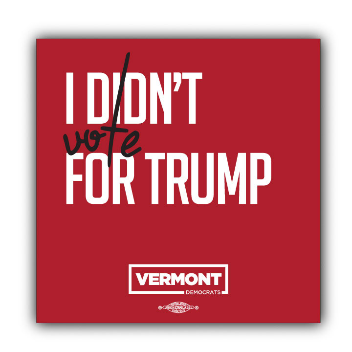 I Didn't Vote For Trump (4" x 4" Vinyl Sticker -- Pack of Two ...
