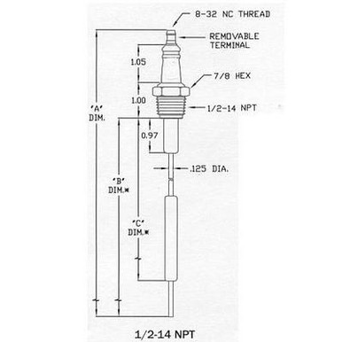 Eclipse 13581 Flame Ignitor Sensor, 1/2" NPT, Length 19.13"