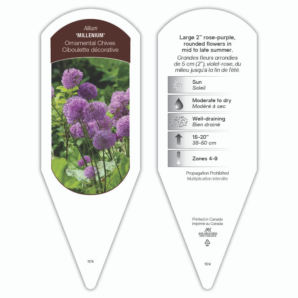 Sturdy plant id tag with description, picture, and plant care information