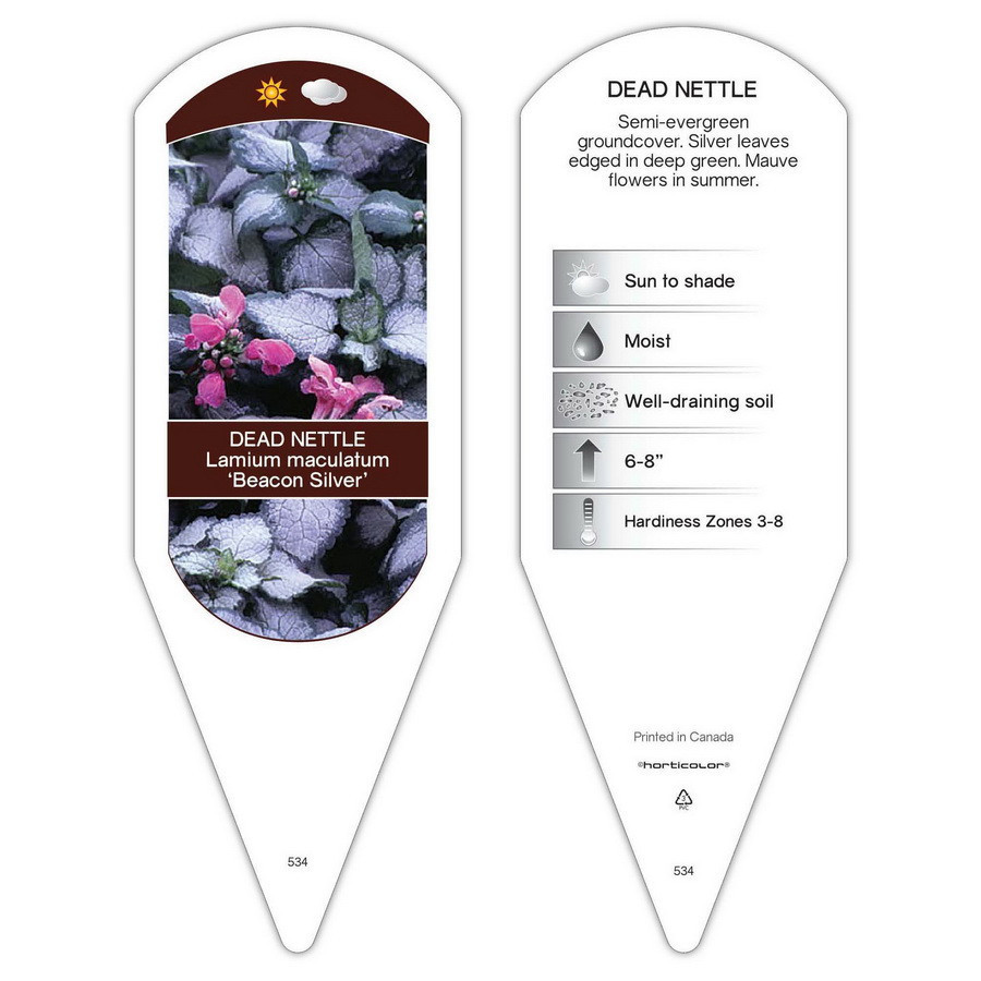 Geranium Huggy Bear sturdy plant id tag with description, picture, and ...