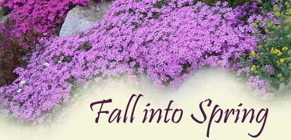 Groundcover Gains for 2024 - Emerald Coast Growers