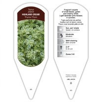Thymus Highland Cream sturdy plant id tag with description, picture ...