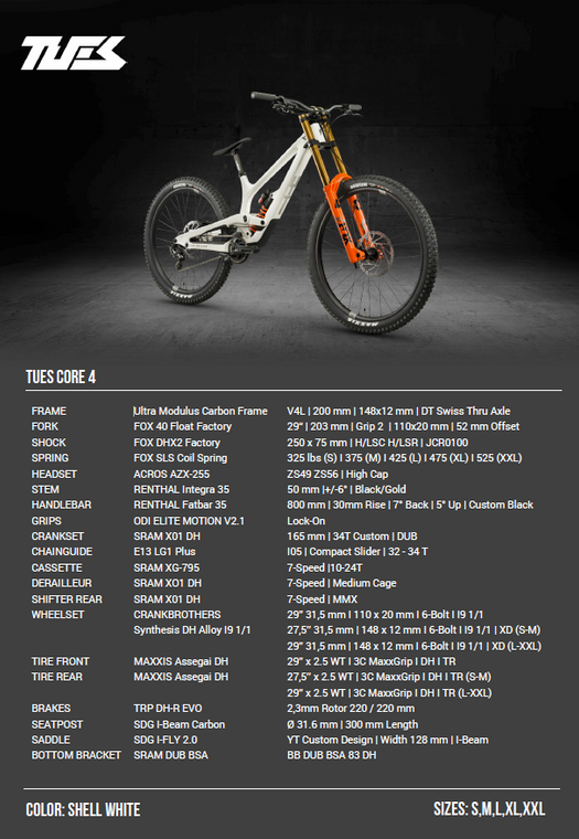 YT TUES MX Core 4 Downhill MTB Carbon Shell White / size Medium