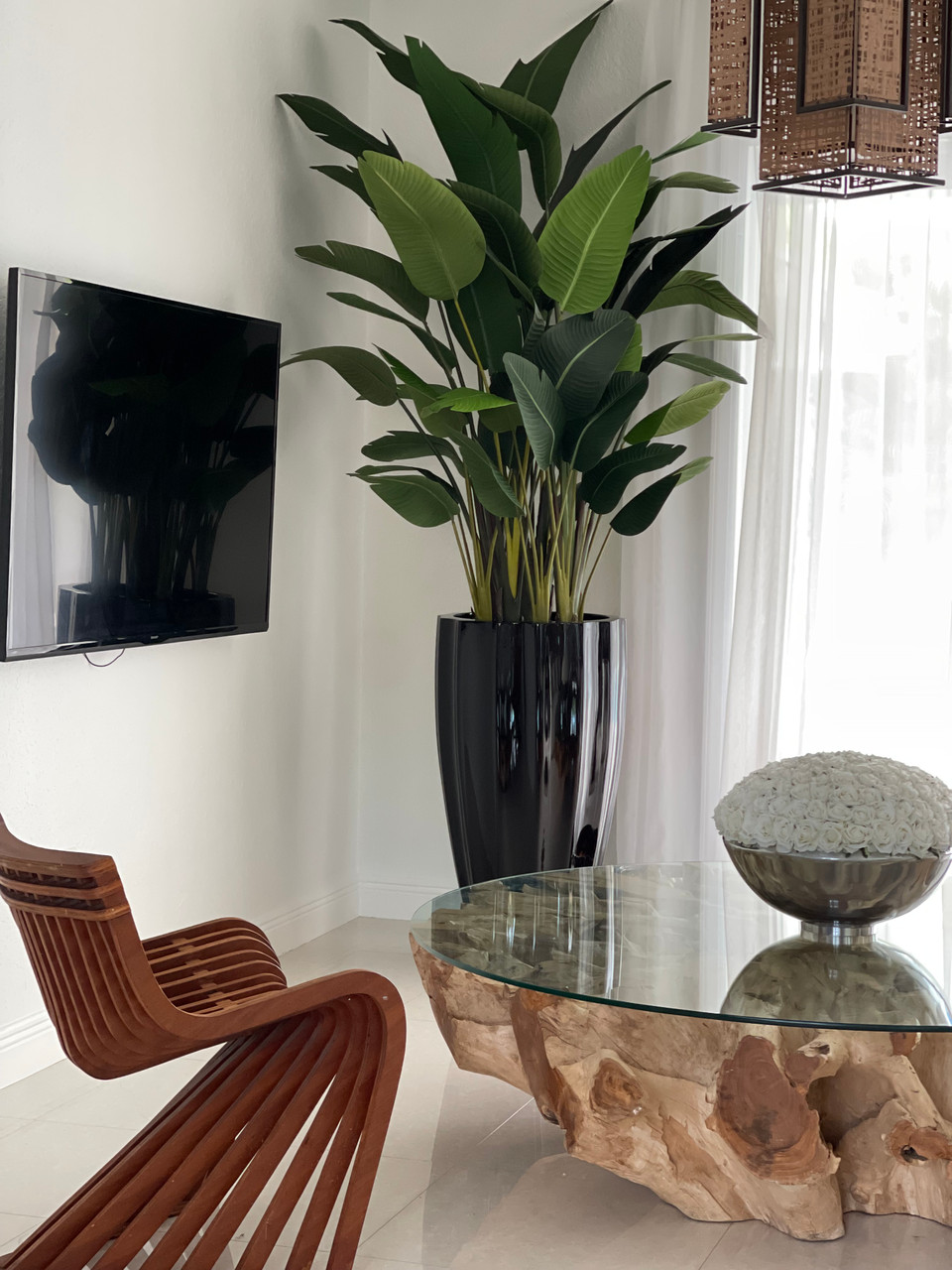 San Jose Fluted Planter in Glossy Black with Birds of Paradise - CFA ...