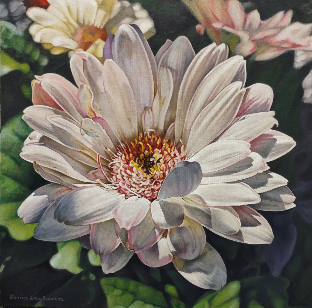 "Alluring Grace" - (Gerbera) - 24" x 24" Oil on Canvas