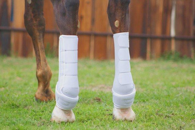 Iconoclast Orthopedic Boots - White Hind Tall - XXL - The Tackshed.com.au