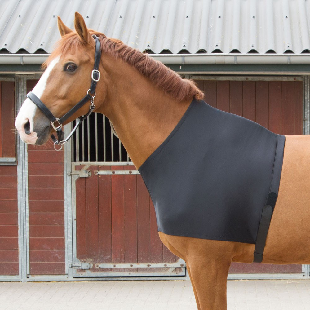 Lycra Chest Protector/ Bib - The Tackshed.com.au