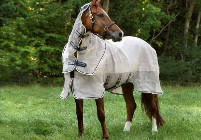 RAMBO - Fly Rug Liner - The Tackshed.com.au