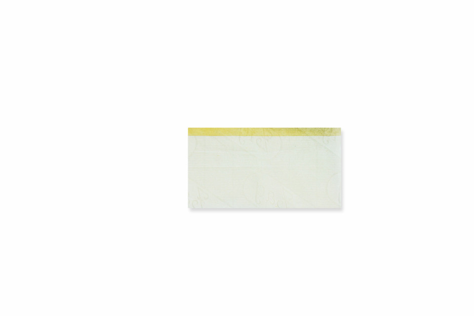 Paper Patches - 4255 - Bioseal Inc