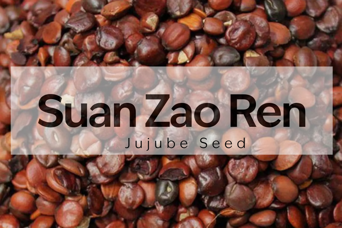 Suan Zao Ren - Griffo Botanicals