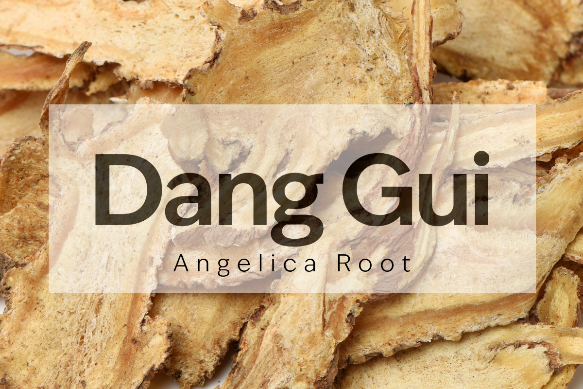 Dang Gui: Return to Health - Griffo Botanicals
