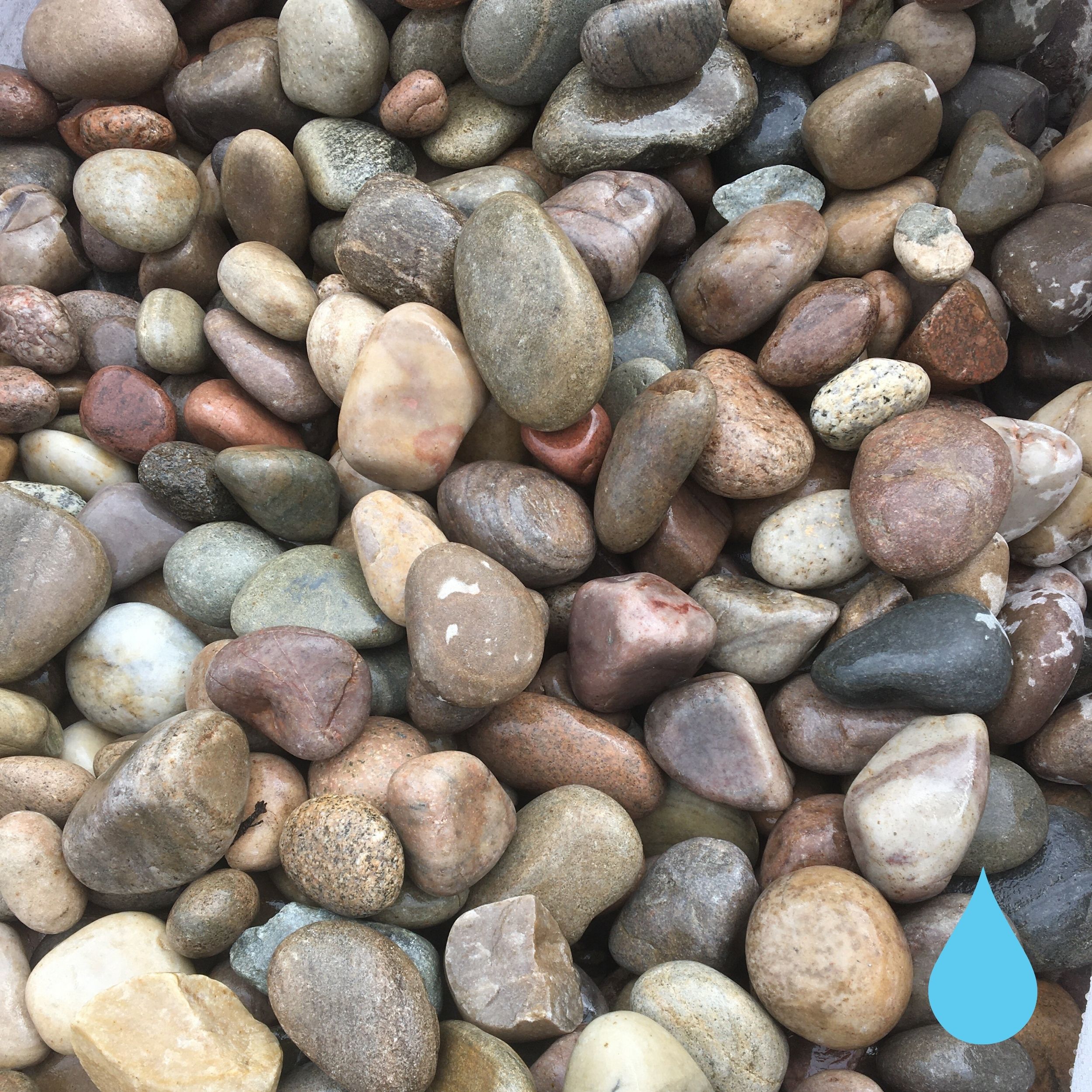 Scottish Cobbles 50 80mm Scottish Cobble Stone Supplier Mitchell Turf scottish-cobbles-50-80mm-scottish-cobble-stone-supplier-mitchell-turf