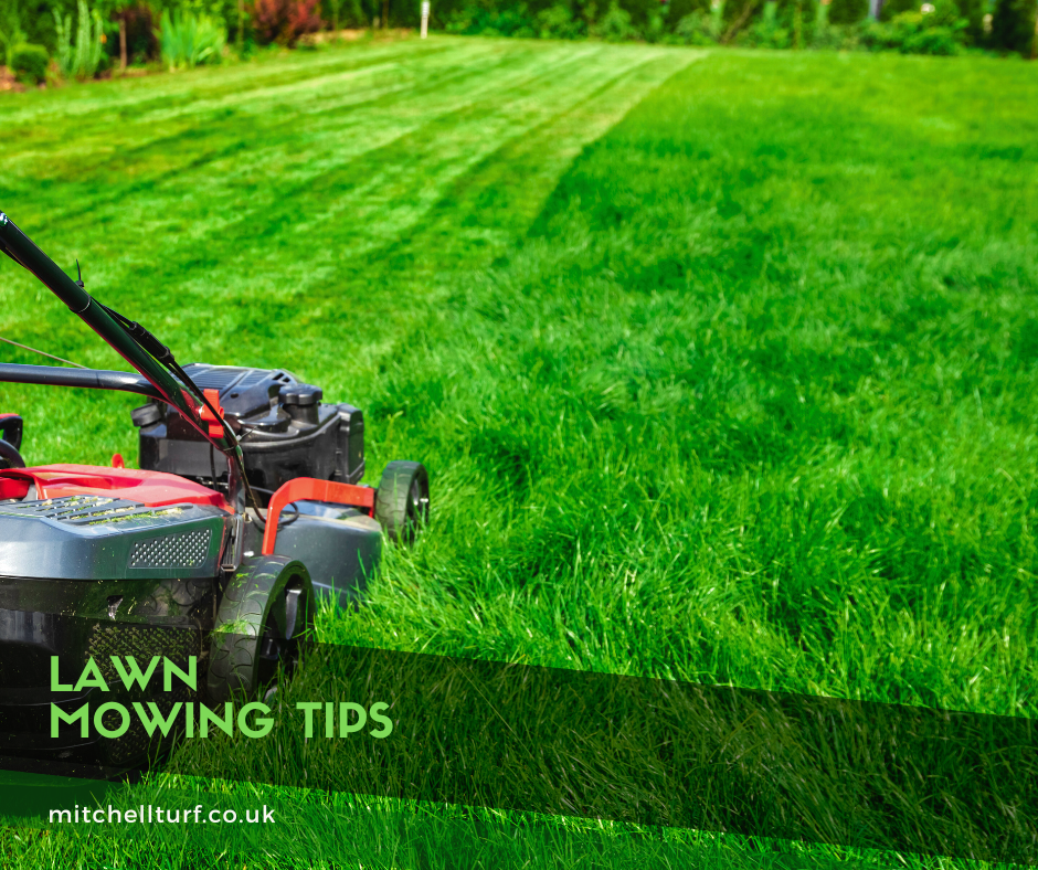 Lawn Mowing Techniques Watering & Mowing Techniques For End Of Summer
