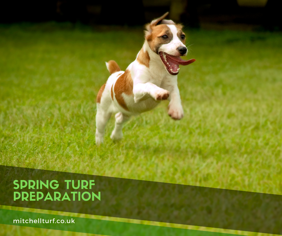 Spring Turf Preparation - Mitchell Turf