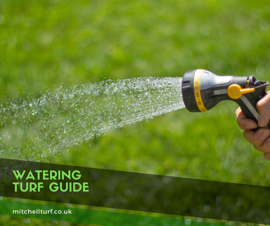 Guide To Watering Your New Turf - Mitchell Turf