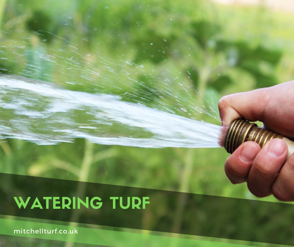 Guide To Watering Your New Turf - Mitchell Turf