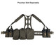 Daeodon Plate Carrier - Large SAPI
