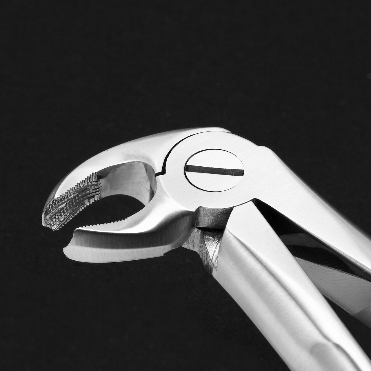 Tooth Forceps Blade Beaks