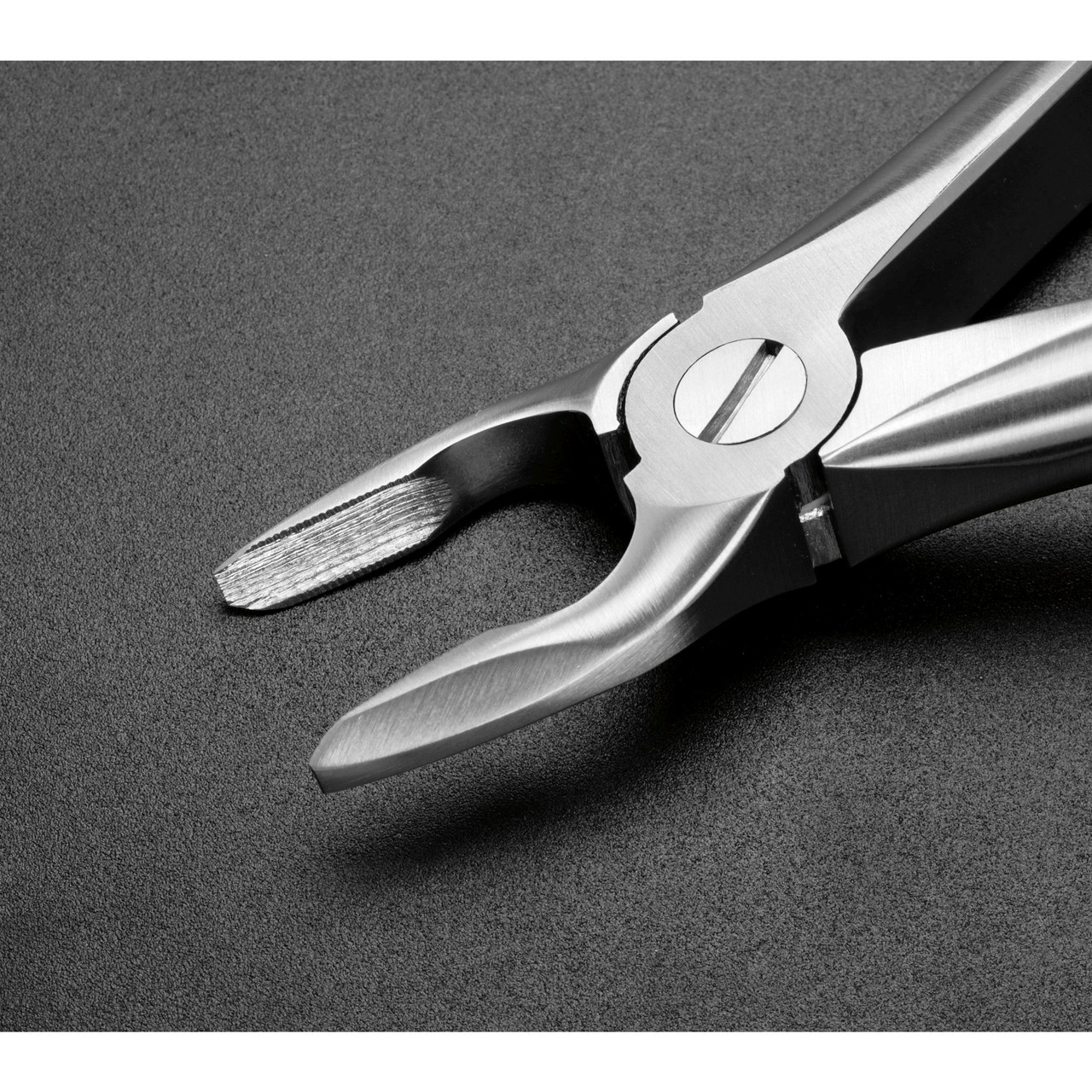 Tooth Forceps Blade Beaks
