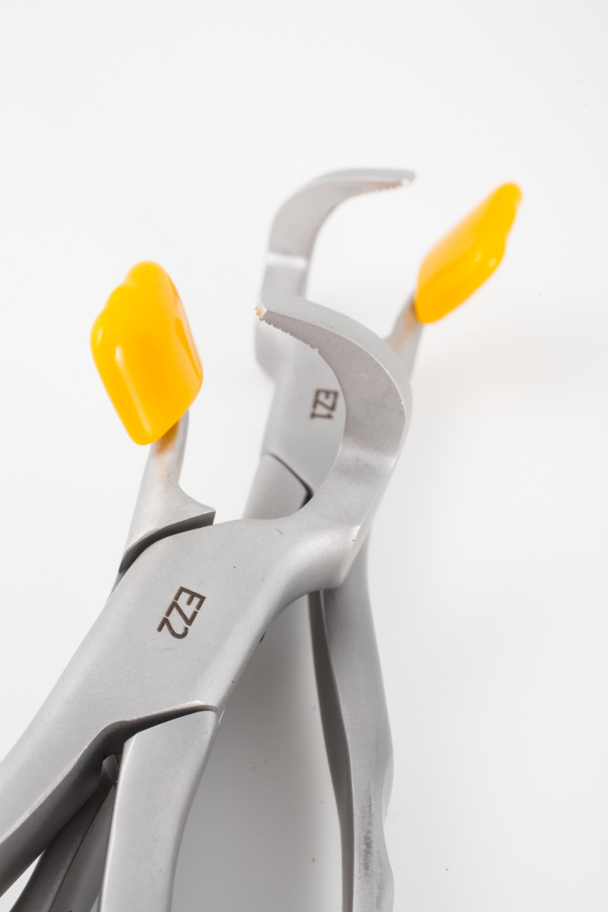 Bumpers Guards Molar
