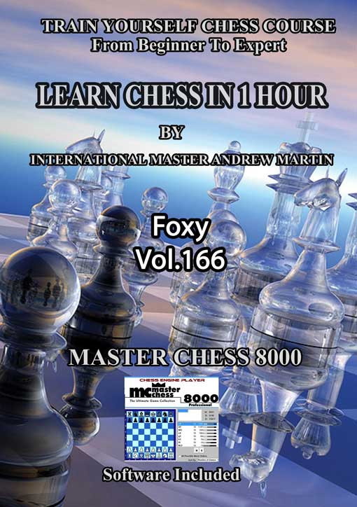 Foxy 166: Learn Chess in 1 Hour - Beginner Chess Video