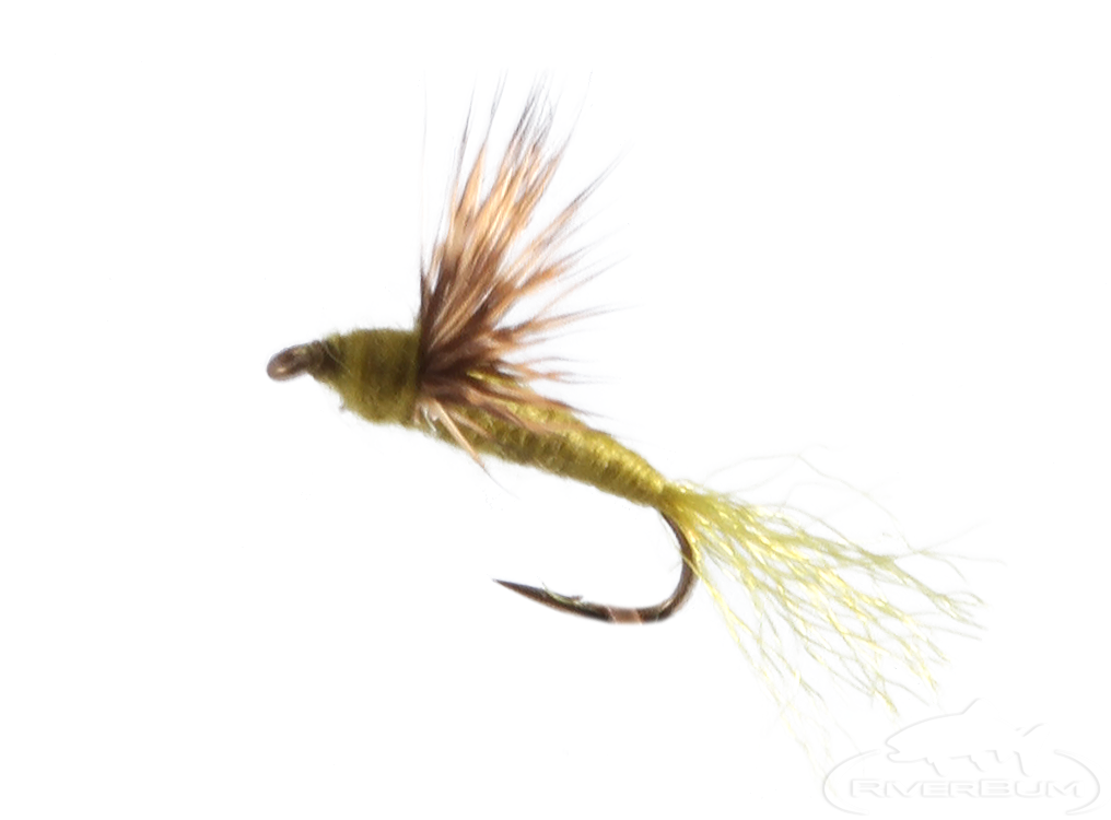 Blue Winged Olive, Sparkle Dun, Slate/Olive | RiverBum.com