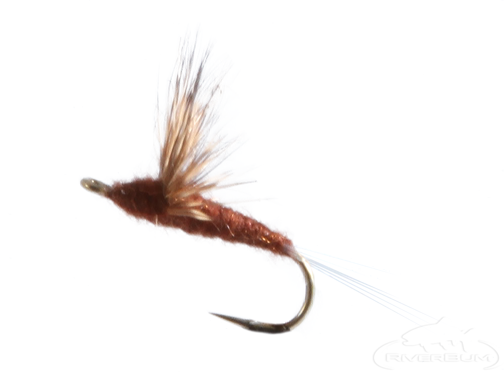 Mahogany, Comparadun | RiverBum.com