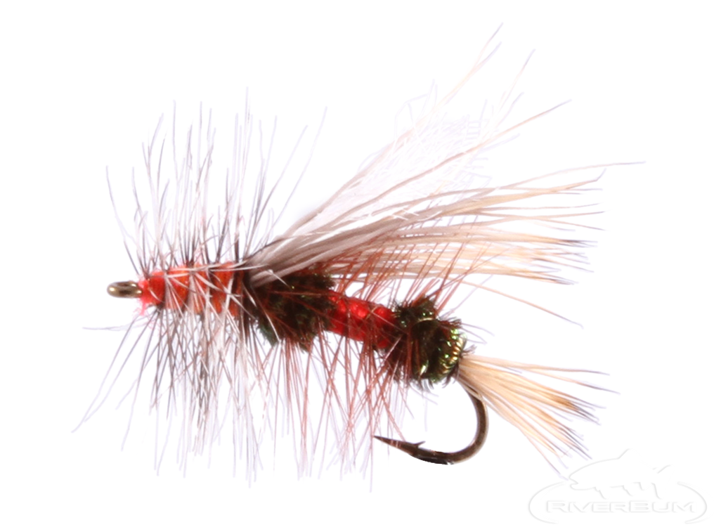 Stimulator, Royal | RiverBum.com