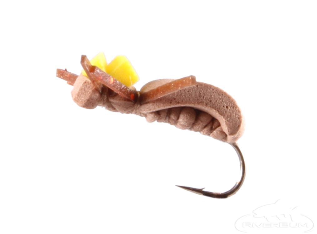 Ant, Foam, Hi Vis, Brown | RiverBum.com