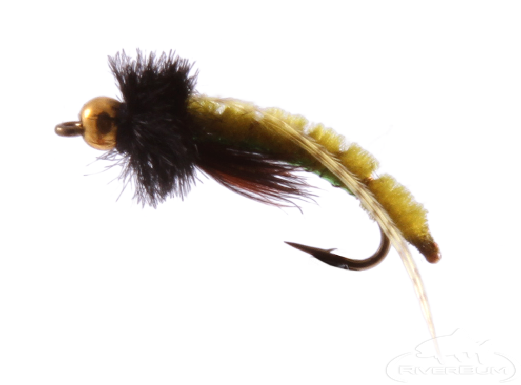 Olive Bead Head Caddis Poopah - Trout Fly | RiverBum.com