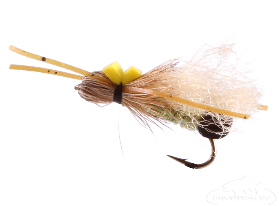 Skwalla Stonefly, Bullet Head, Adult | RiverBum.com