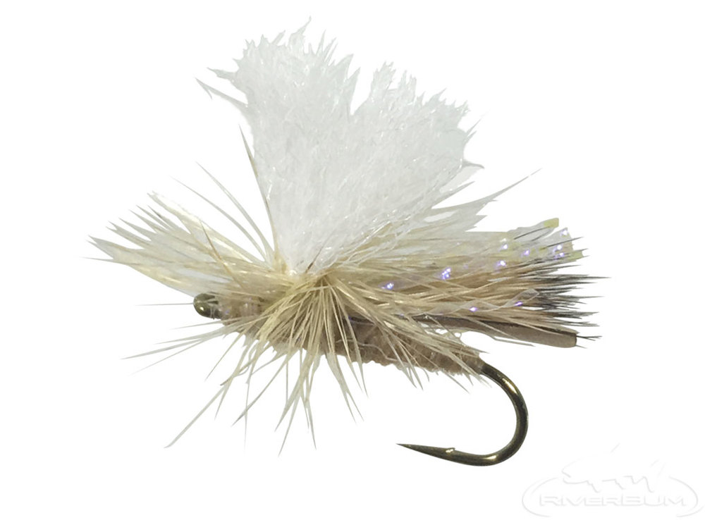 The Spruce Moth Hatch - RiverBum.com