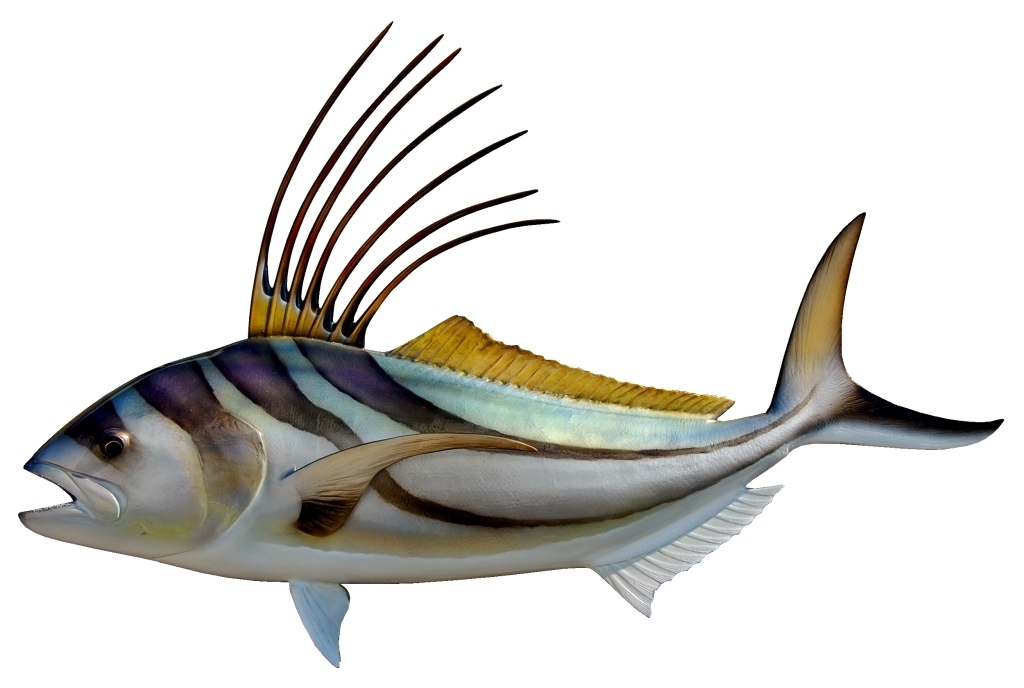 Surf Fishing - RiverBum.com