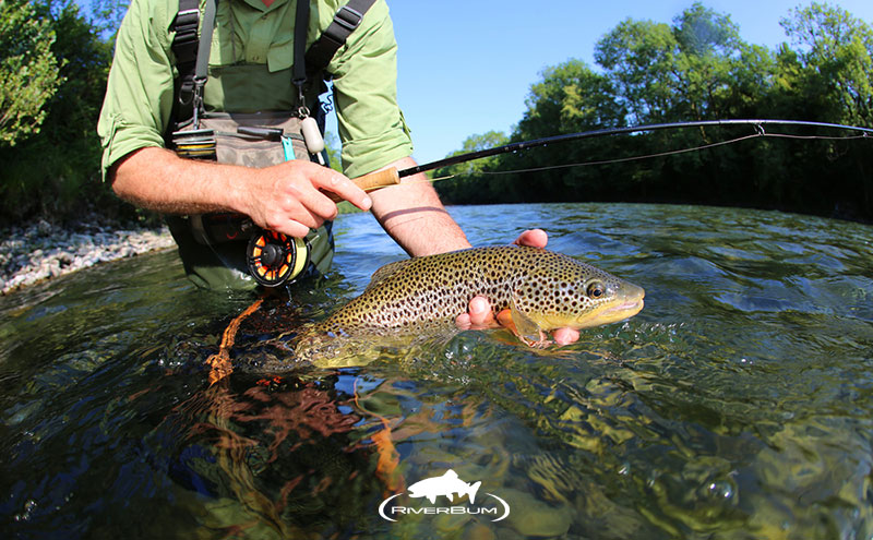 7 Reasons to Try Fly Fishing - RiverBum.com