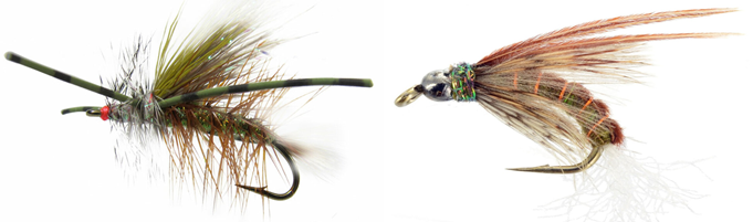 Caddisfly Life Cycle & Hatch - RiverBum.com